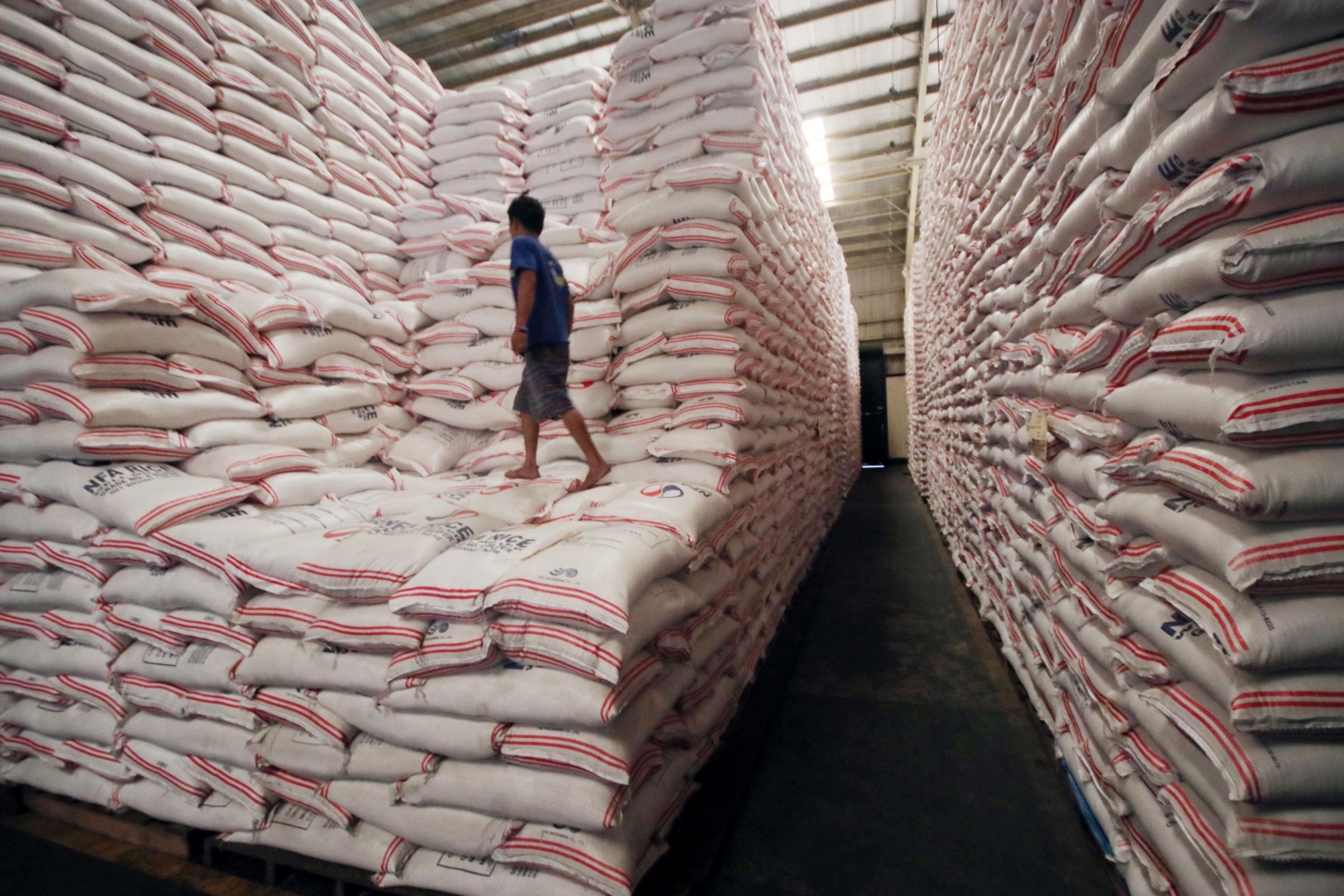 Wholesale Rice Import & Distribution Philippines - Manila