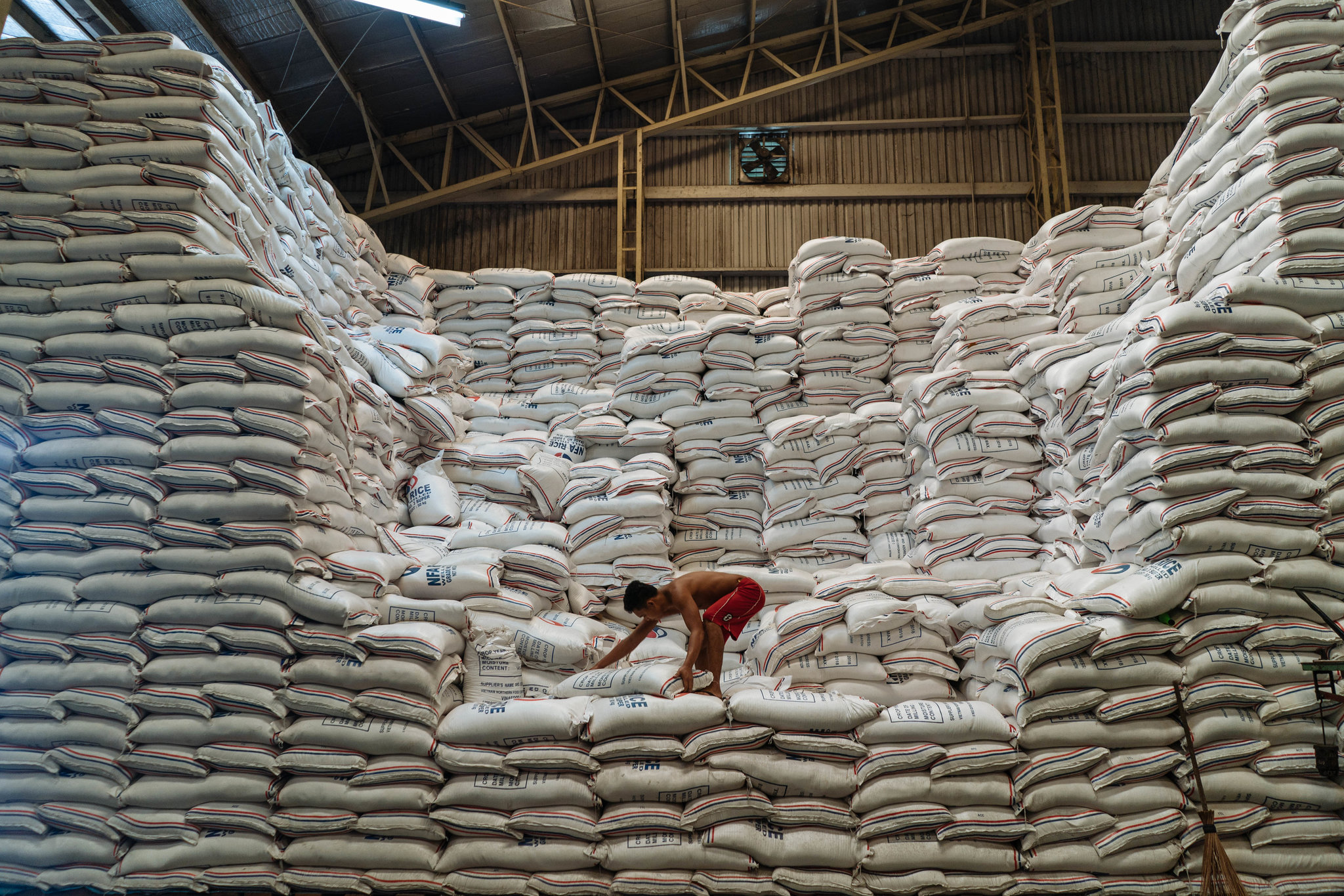 Wholesale Rice Import & Distribution Philippines - Manila
